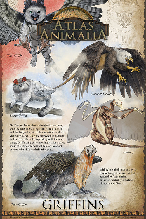 Atlas Animalia: Creature Posters (12x18in) (USA) – Metal Weave Games