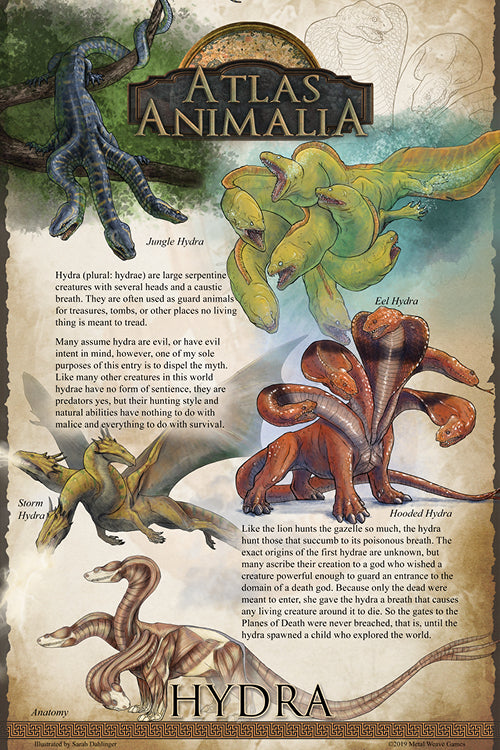 Atlas Animalia: Creature Posters (12x18in) (USA) – Metal Weave Games